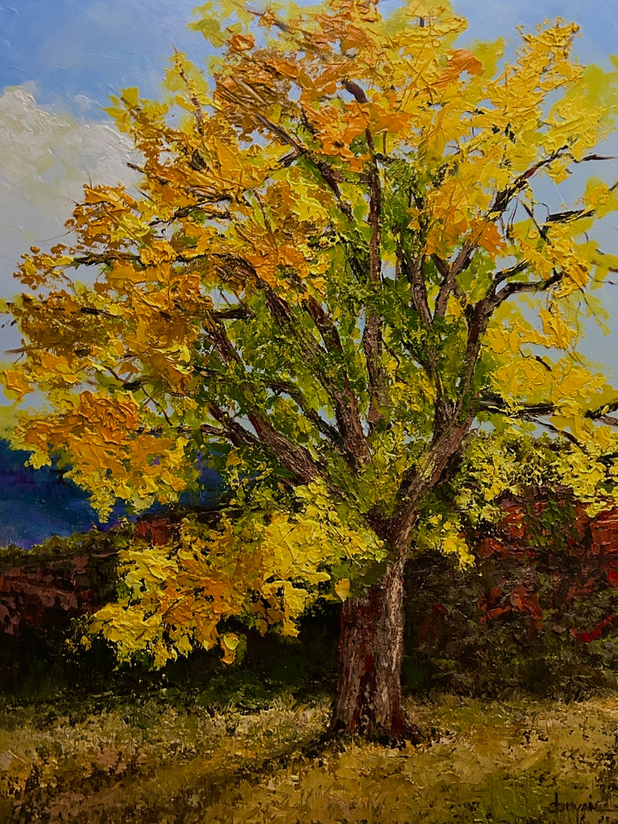 Susan Bryan – Altitude Gallery