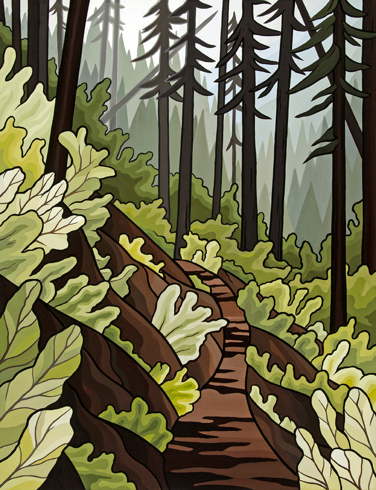 Forest Glow Altitude Gallery