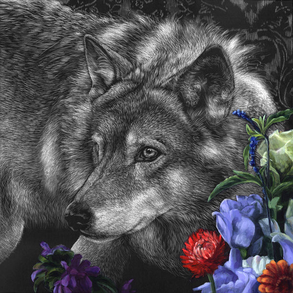 Lewis's Wolf – Altitude Gallery