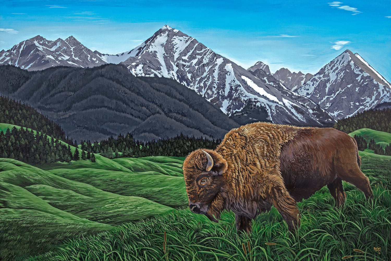 Big Sky Bison – Altitude Gallery