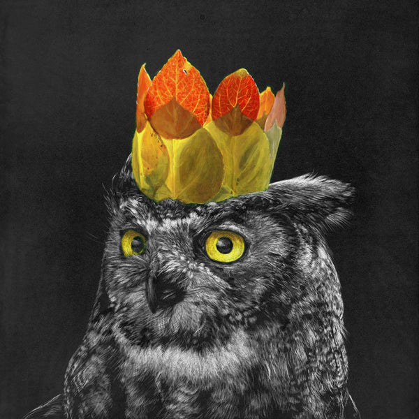 Fiery Crown – Altitude Gallery