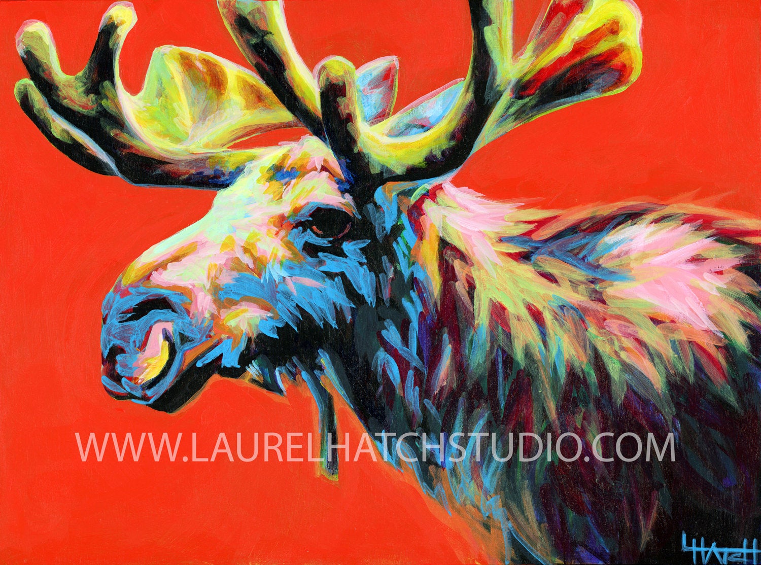 Red Moose – Altitude Gallery